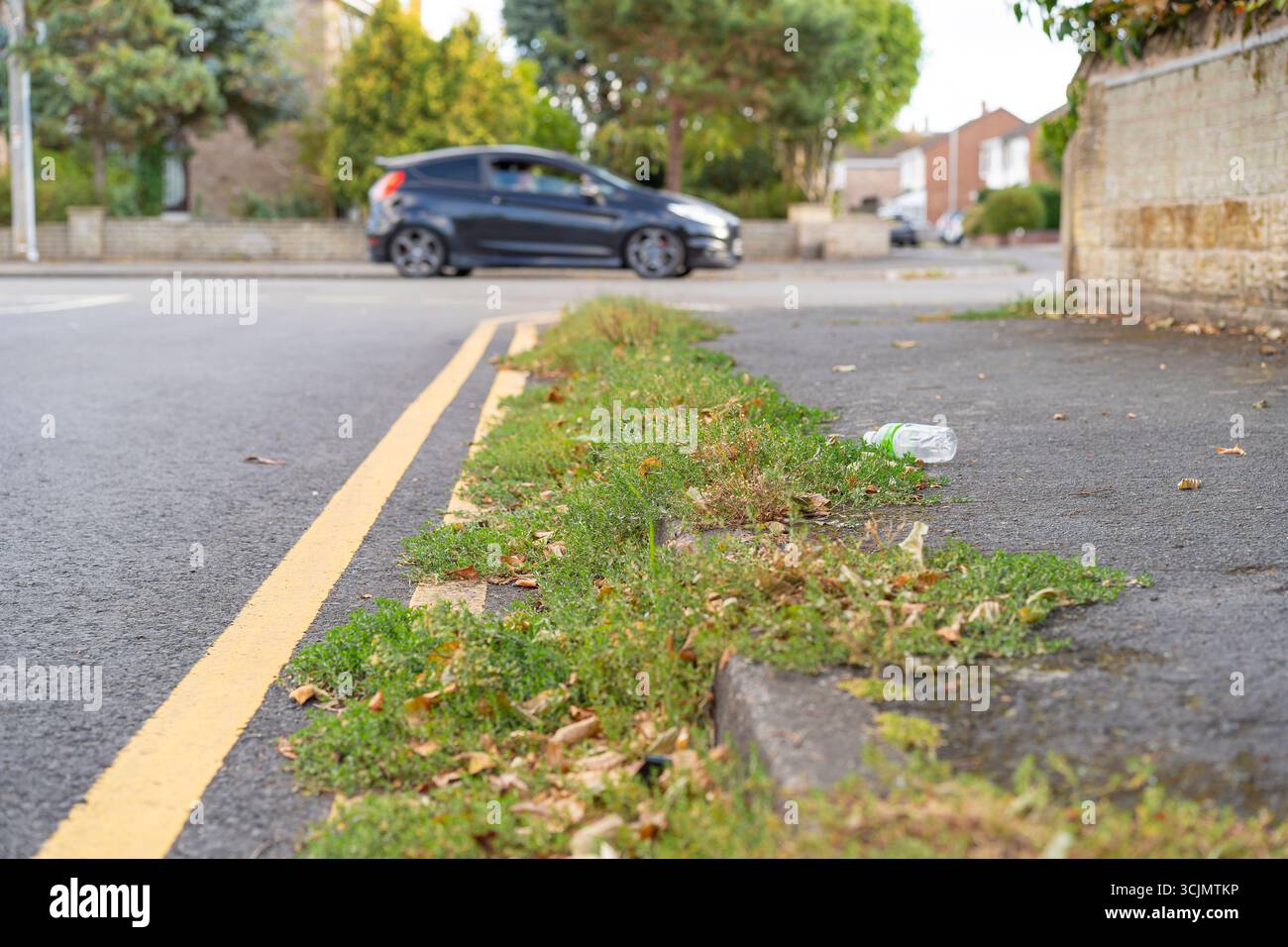 Overgrown pathways hi-res stock photography and images - Alamy