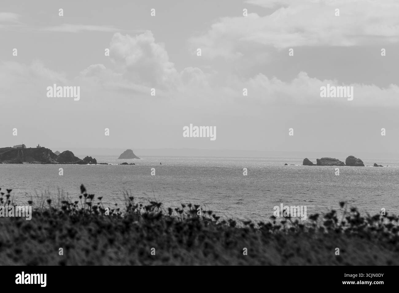 Lion bastion Black and White Stock Photos & Images - Alamy