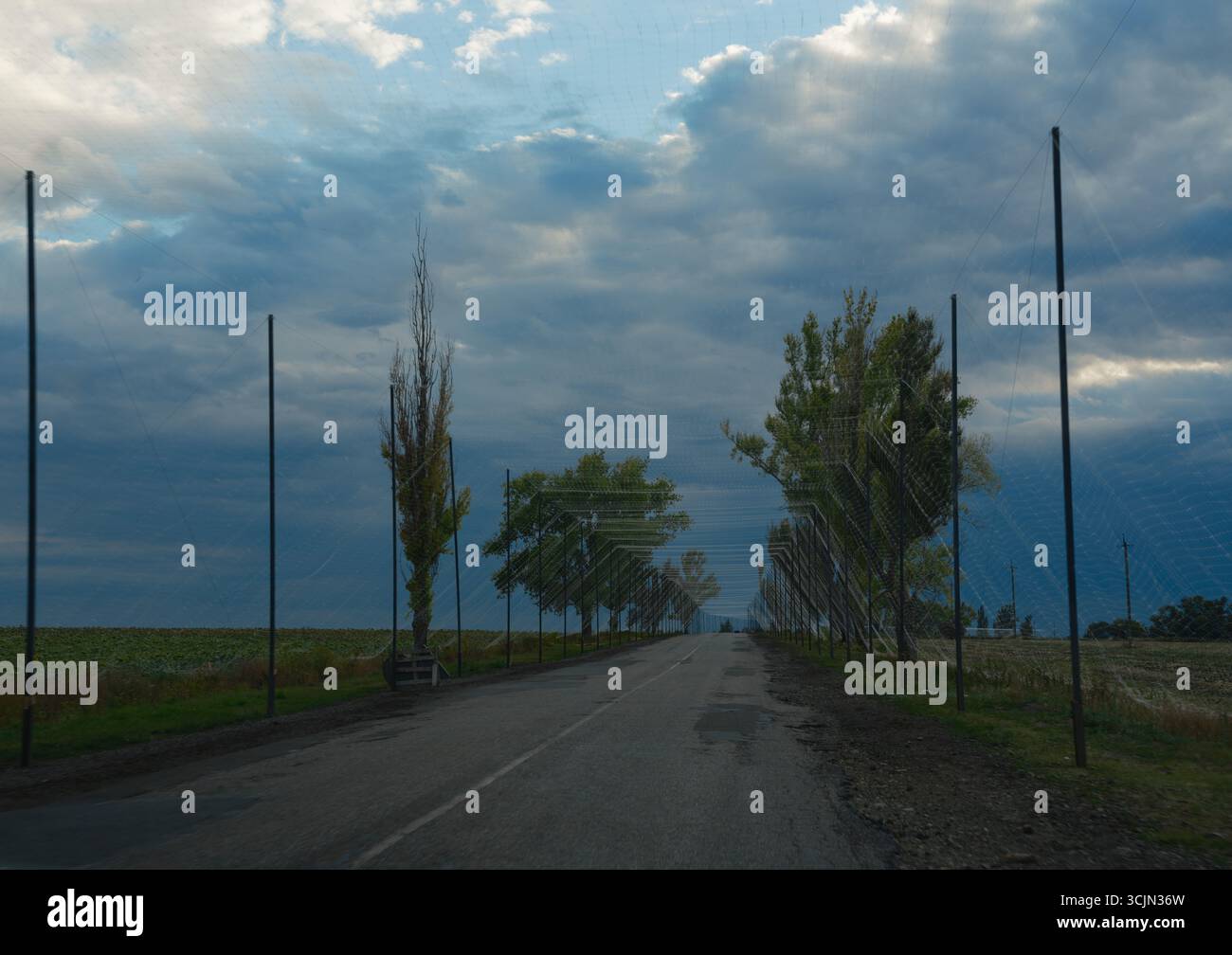 Anti fpv drone protection hi-res stock photography and images - Alamy