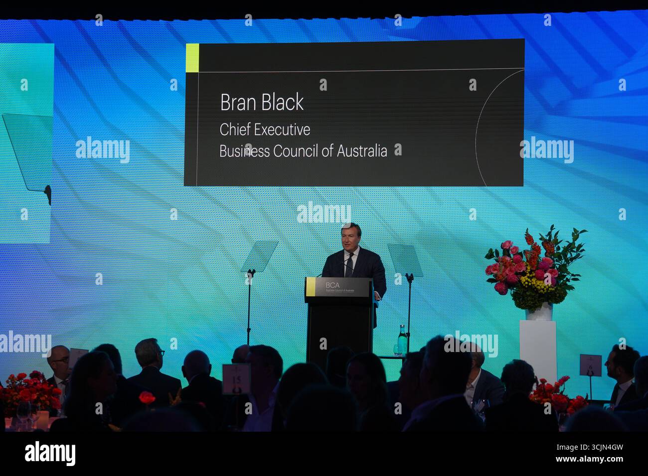 BCA chief executive Bran Black during the Business Council of Australia ...
