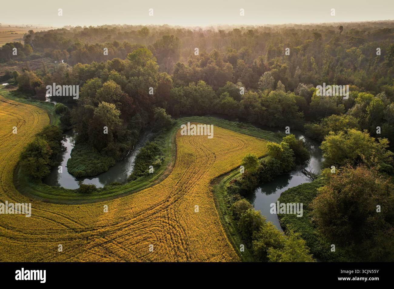 Aerial view of the winding river cutting through golden fields ...