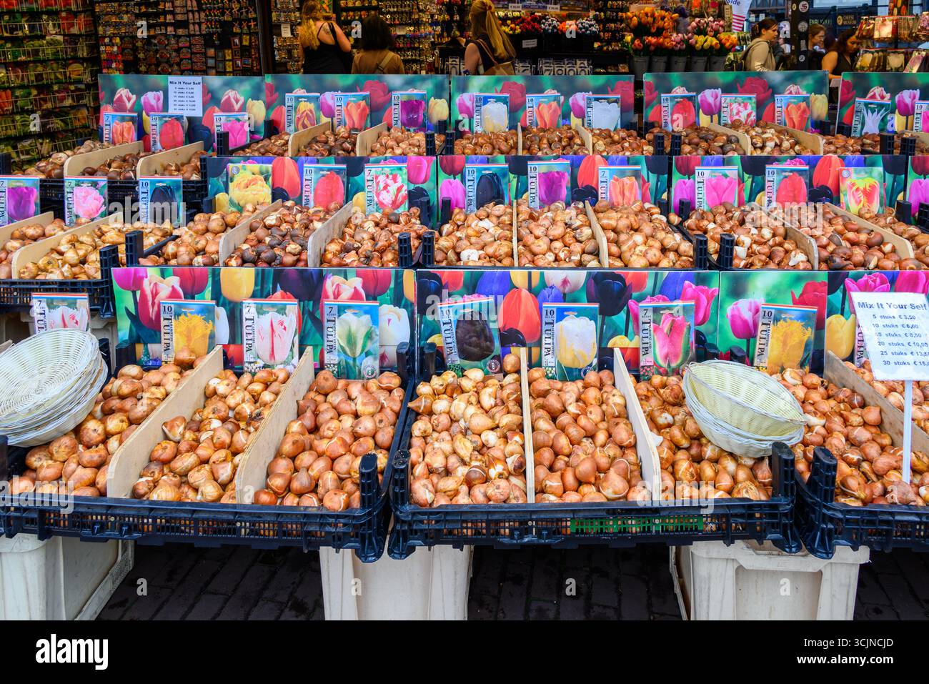 Display of various Tulip flower bulbs for sale at a market in Amsterdam ...