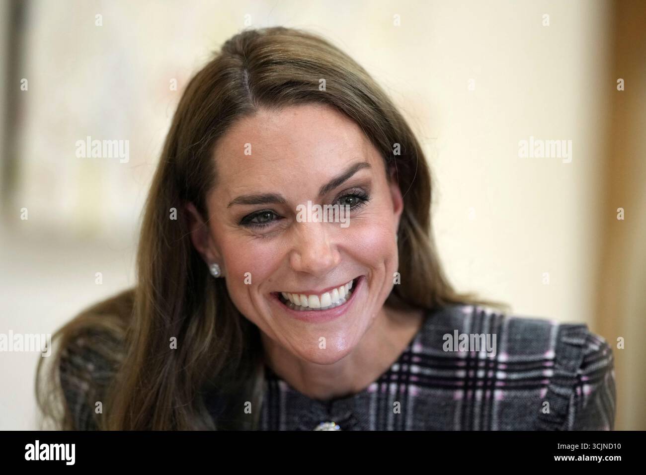 The Princess of Wales listens to members during a visit to the National Federation of Women's ...