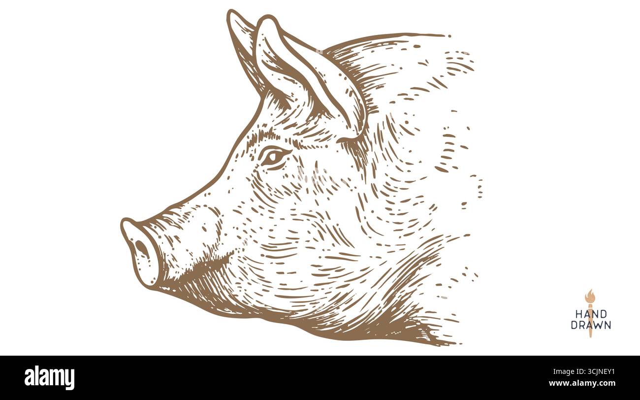 Pork pig hog hand Cut Out Stock Images & Pictures - Alamy