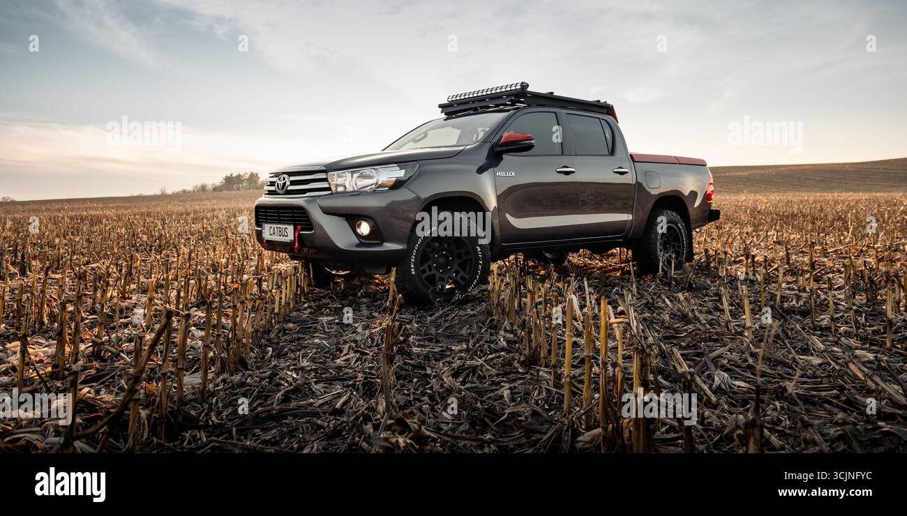 grey Toyota Hilux in dry field at sunset. Side view of double cab ...