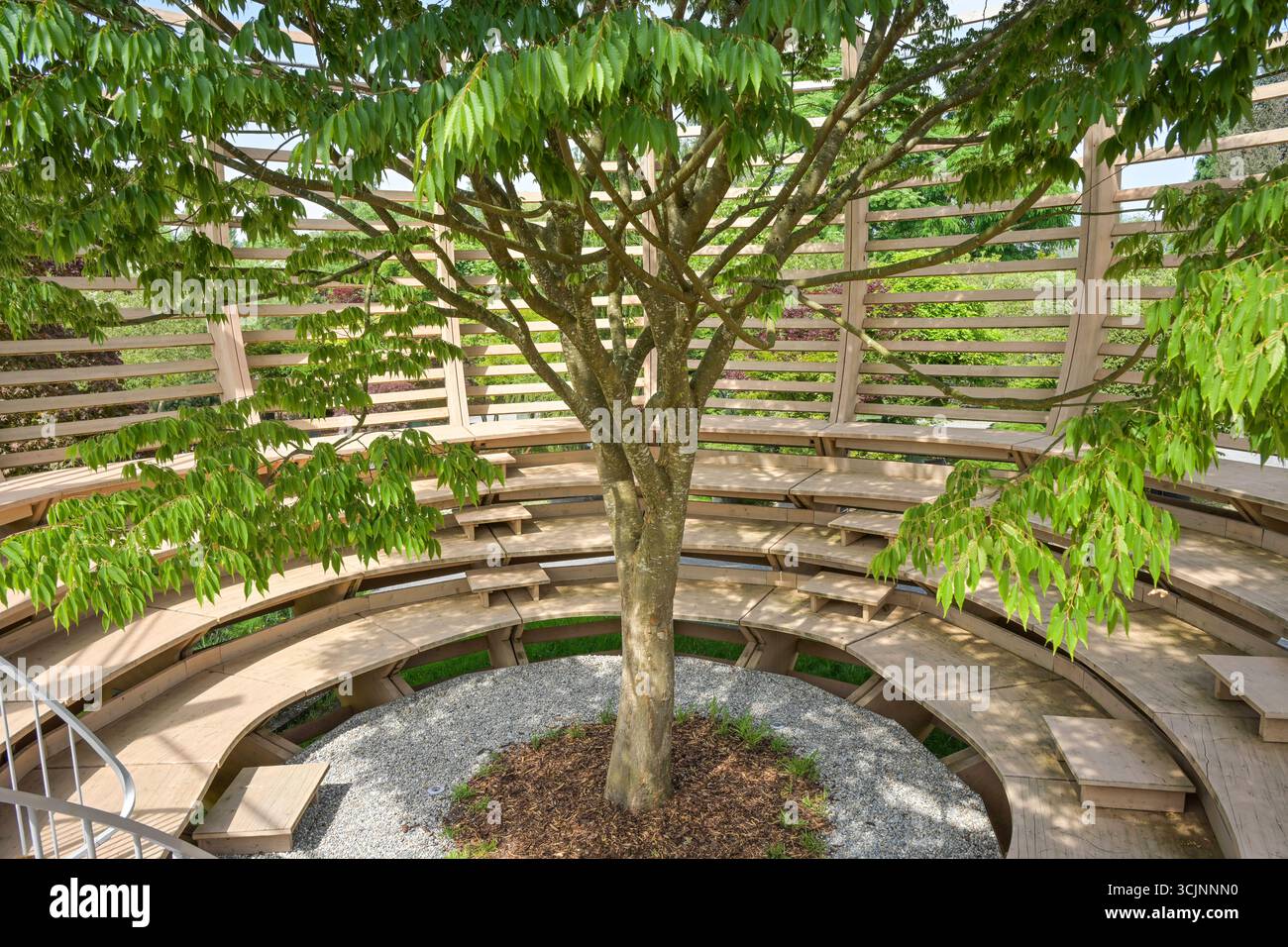 Arena for a Tree by Klaus Littmann, Enea Tree Museum, Jona, Rapperswil ...