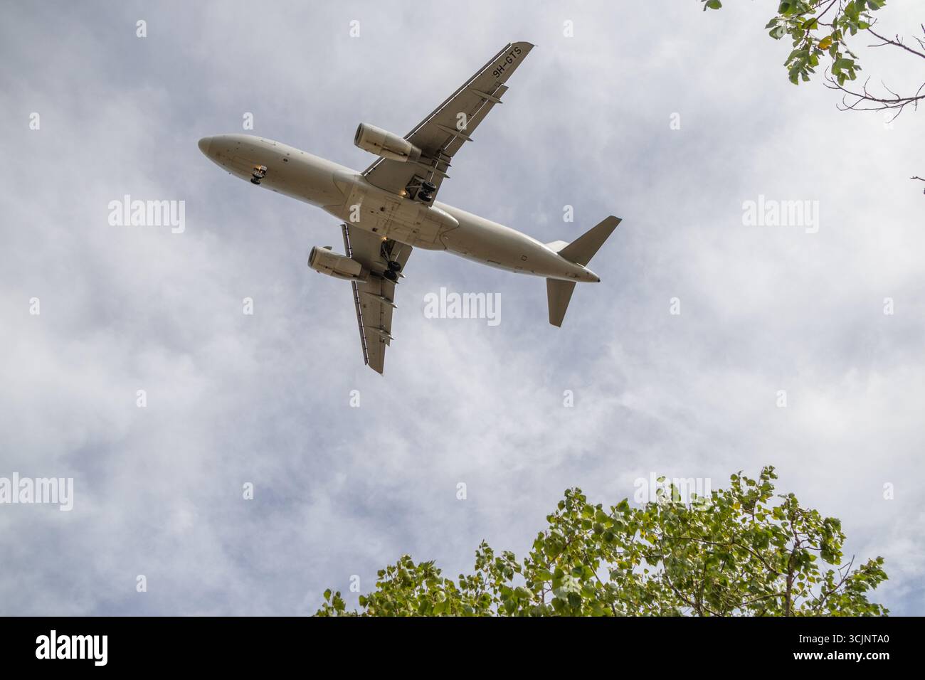 Passenger airplane flying over trees, approaching airport on a cloudy ...