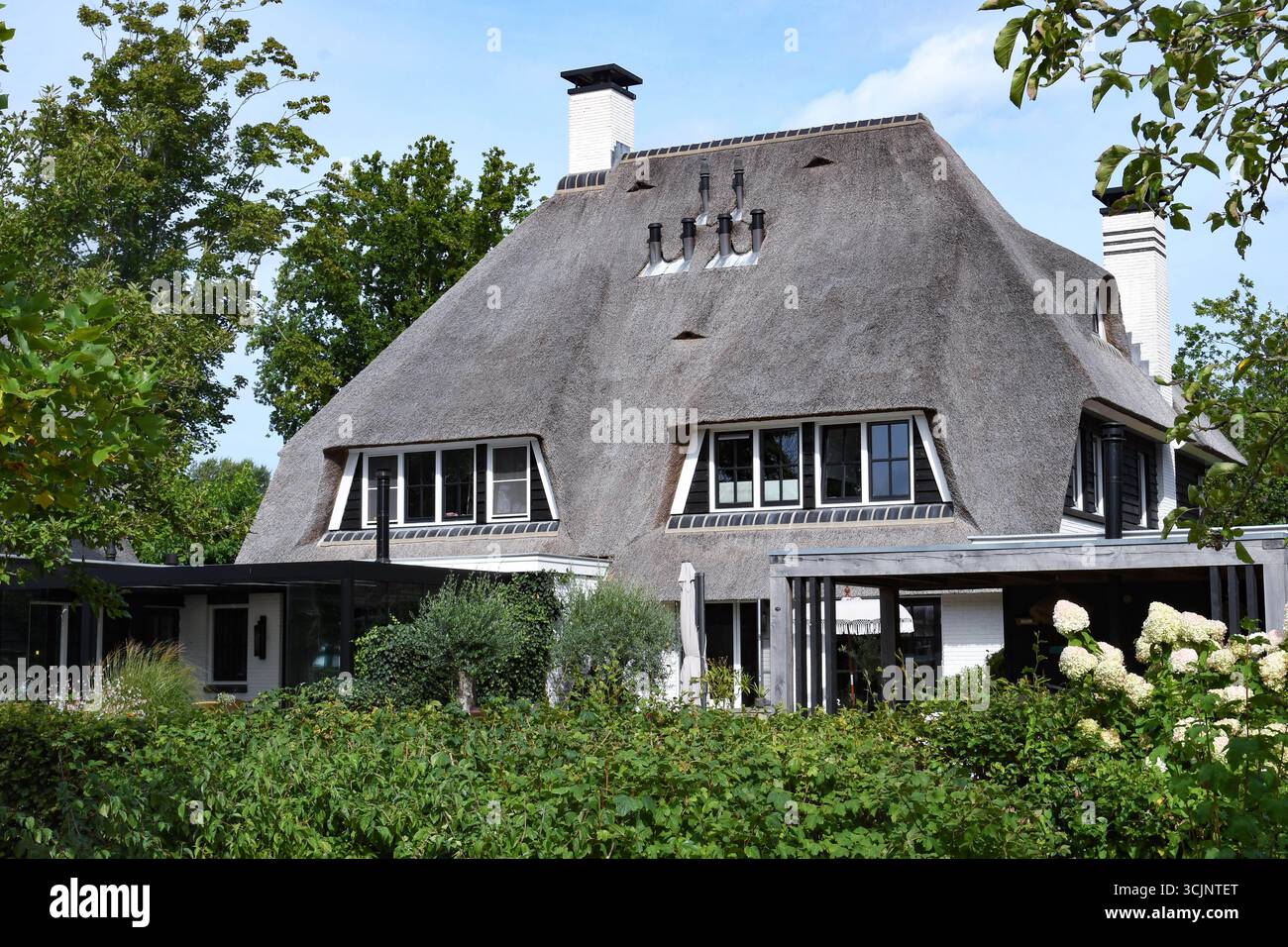 Neues Haus mit Reetdach in Naarden in der niederlaendischen Provinz ...