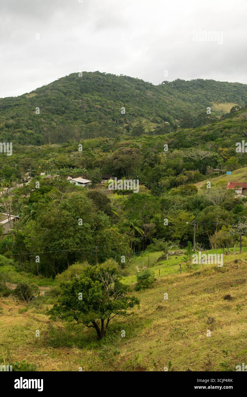 Sertao do ribeirao hi-res stock photography and images - Alamy