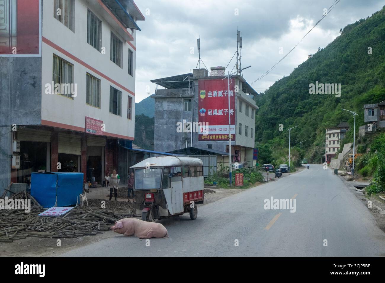 Rural street scene with houses, vehicles, and a pig in Guilin China ...