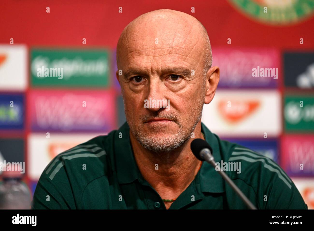 The head coach of the Hungarian national soccer team, Marco Rossi ...