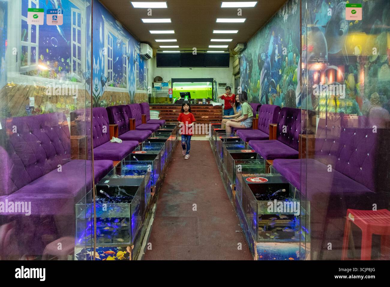 Fish spa interior with purple chairs and tanks of fish in Chengdu ...