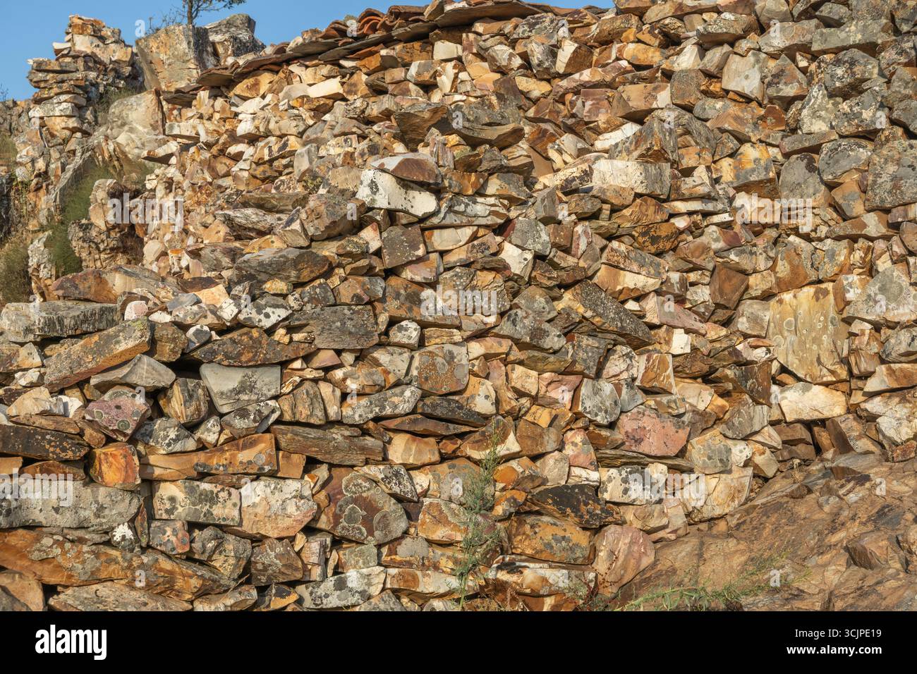 Irregular stone wall in ochre and gray tones, with pronounced joints ...