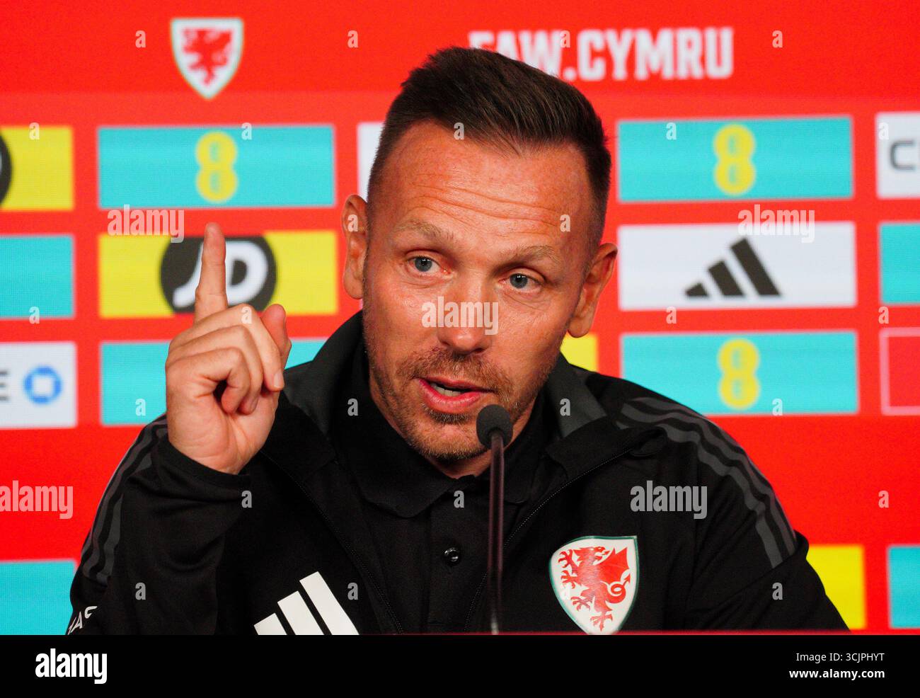 Wales manager Craig Bellamy during a press conference at the Vale ...