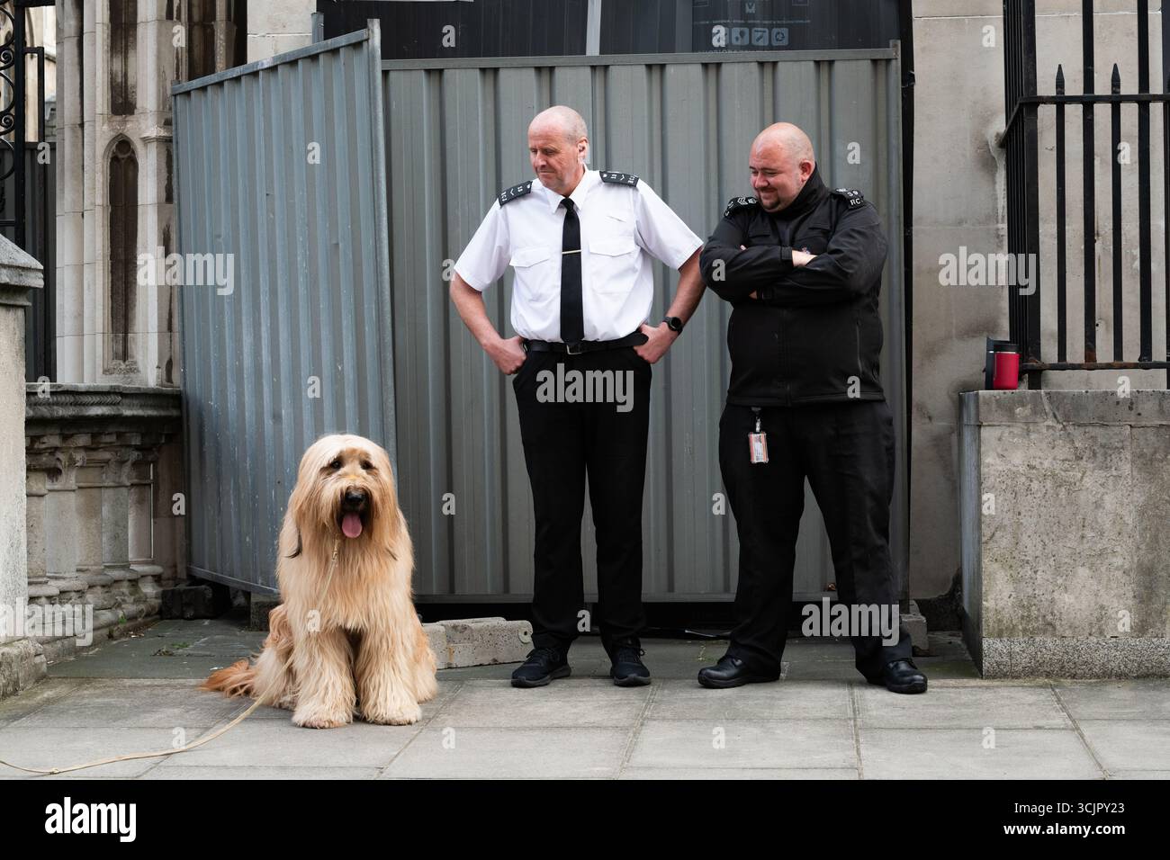 London, UK. 8 September, 2025. A large dog sits near security guards ...