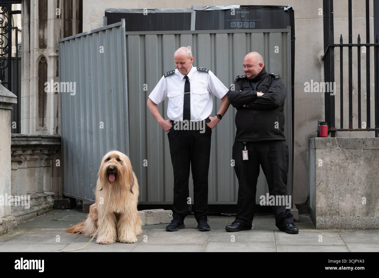 London, UK. 8 September, 2025. A large dog sits near security guards ...