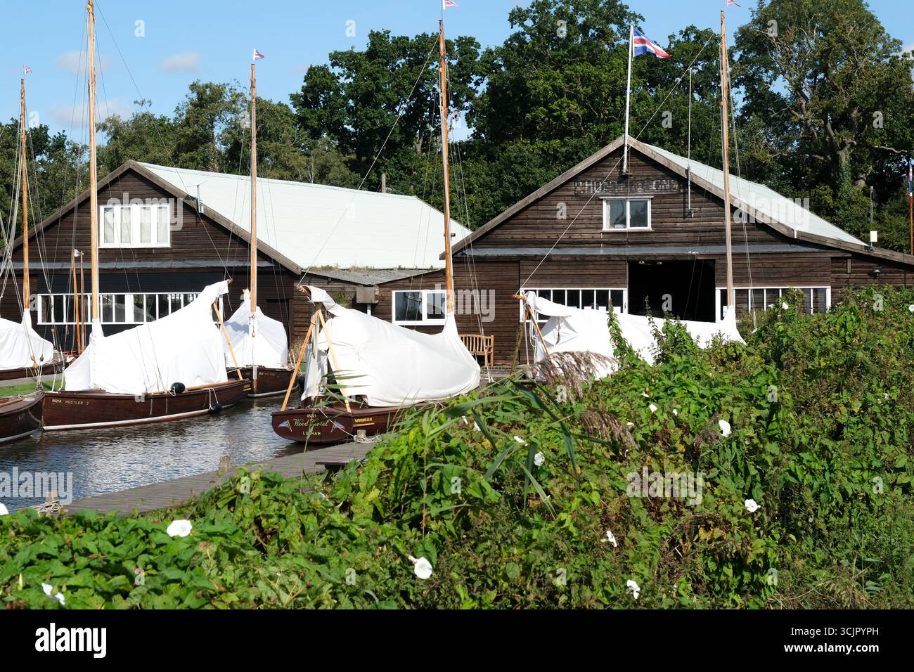 Ludham, Norfolk, UK. 8th Sep 2025. UK Weather: Sunny day in Norfolk ...