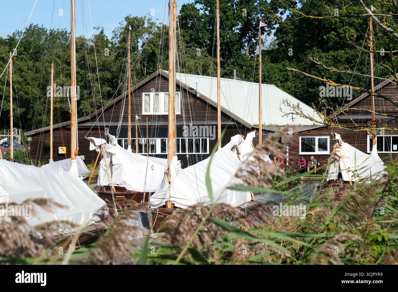 Ludham, Norfolk, UK. 8th Sep 2025. UK Weather: Sunny day in Norfolk ...