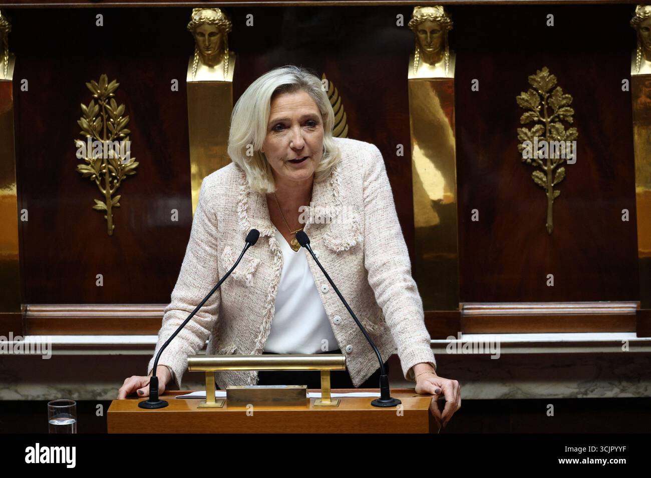 Marine Le Pen, President of the National Rally group during a speech in ...