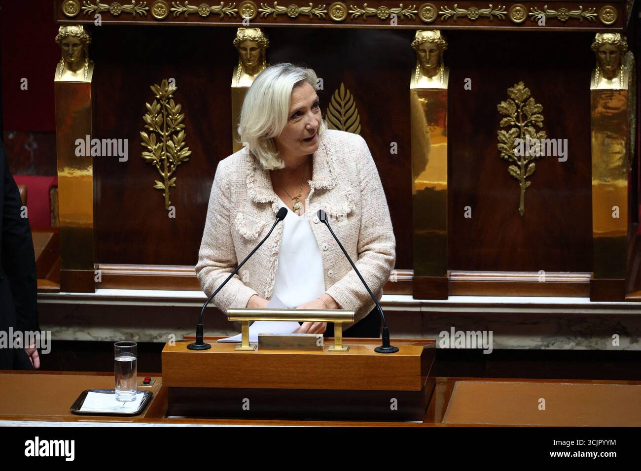 Marine Le Pen, President of the National Rally group during a speech in ...