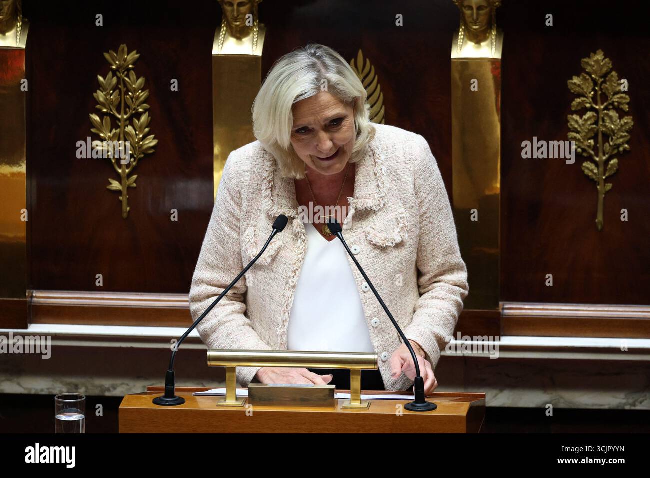 Marine Le Pen, President of the National Rally group during a speech in ...