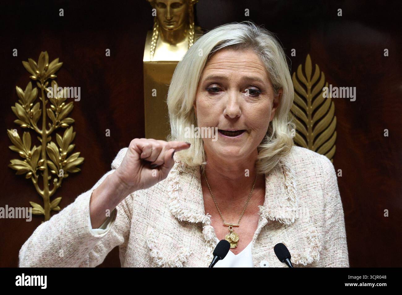 Marine Le Pen, President of the National Rally group during a speech in ...
