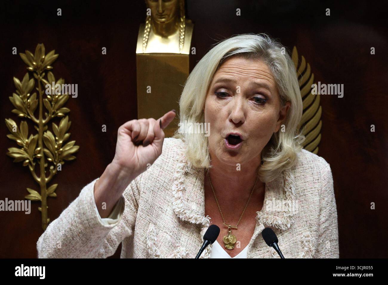 Marine Le Pen, President of the National Rally group during a speech in ...
