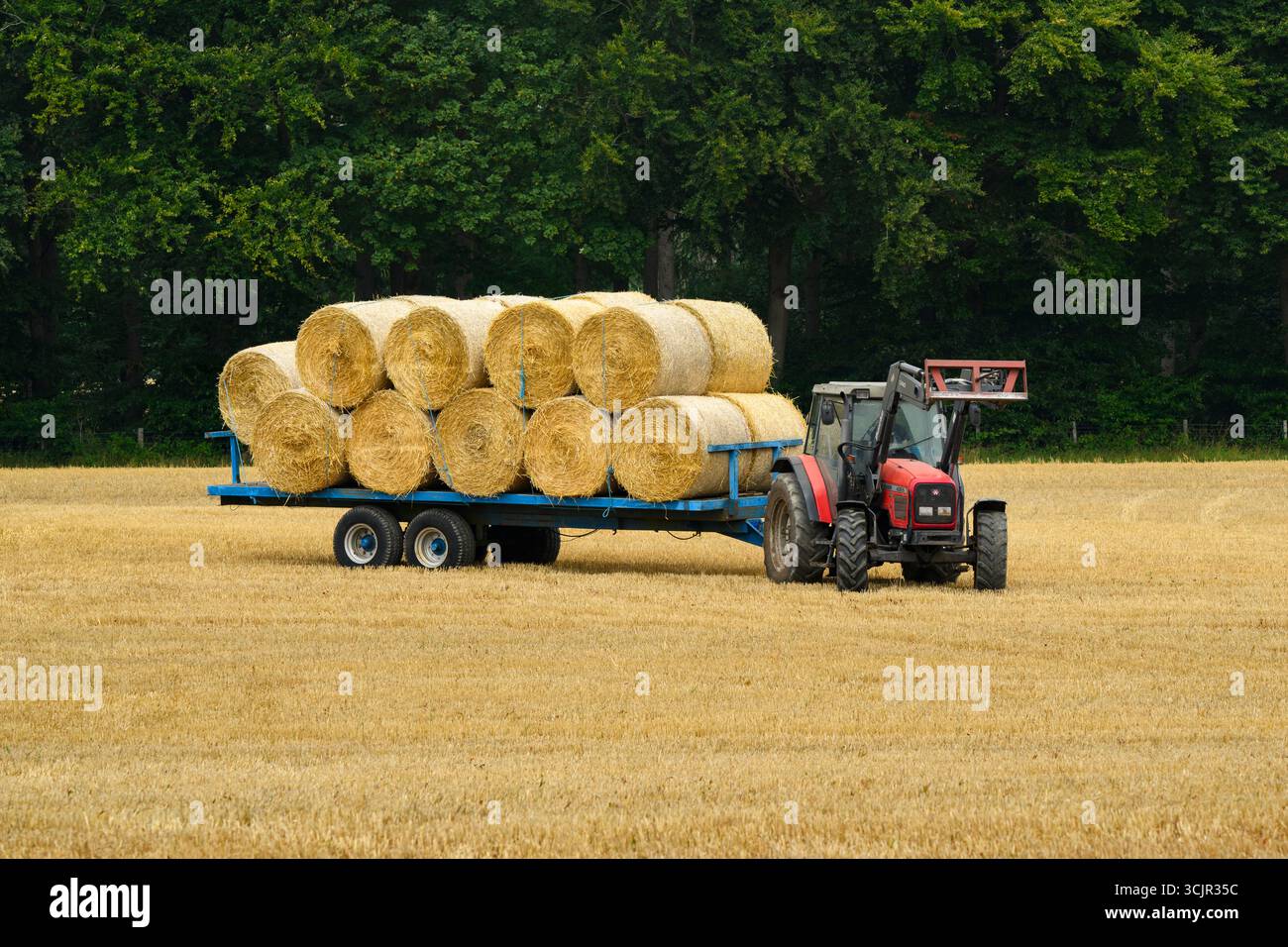 Bale spike hi-res stock photography and images - Alamy