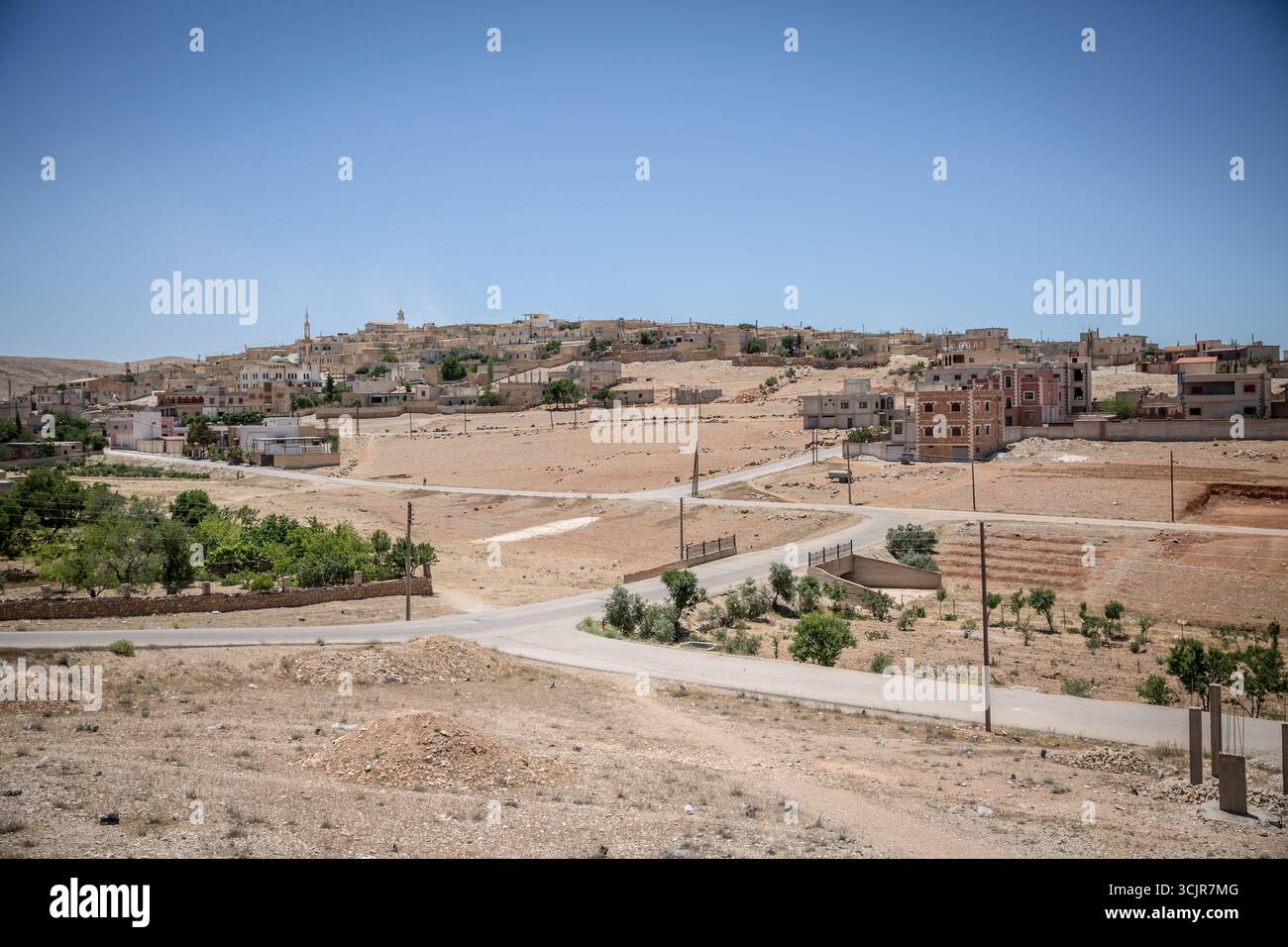 Qaldoun Al Marah, in Syria, is known as a centre of Damask rose growing ...