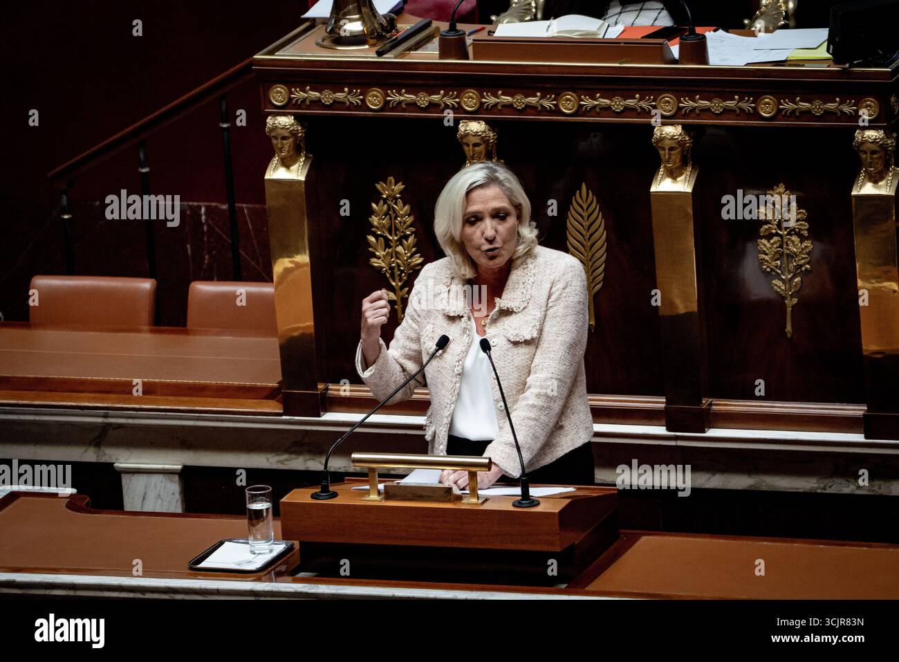 September 8, 2025, Paris, Paris, France, France: Far-right National ...