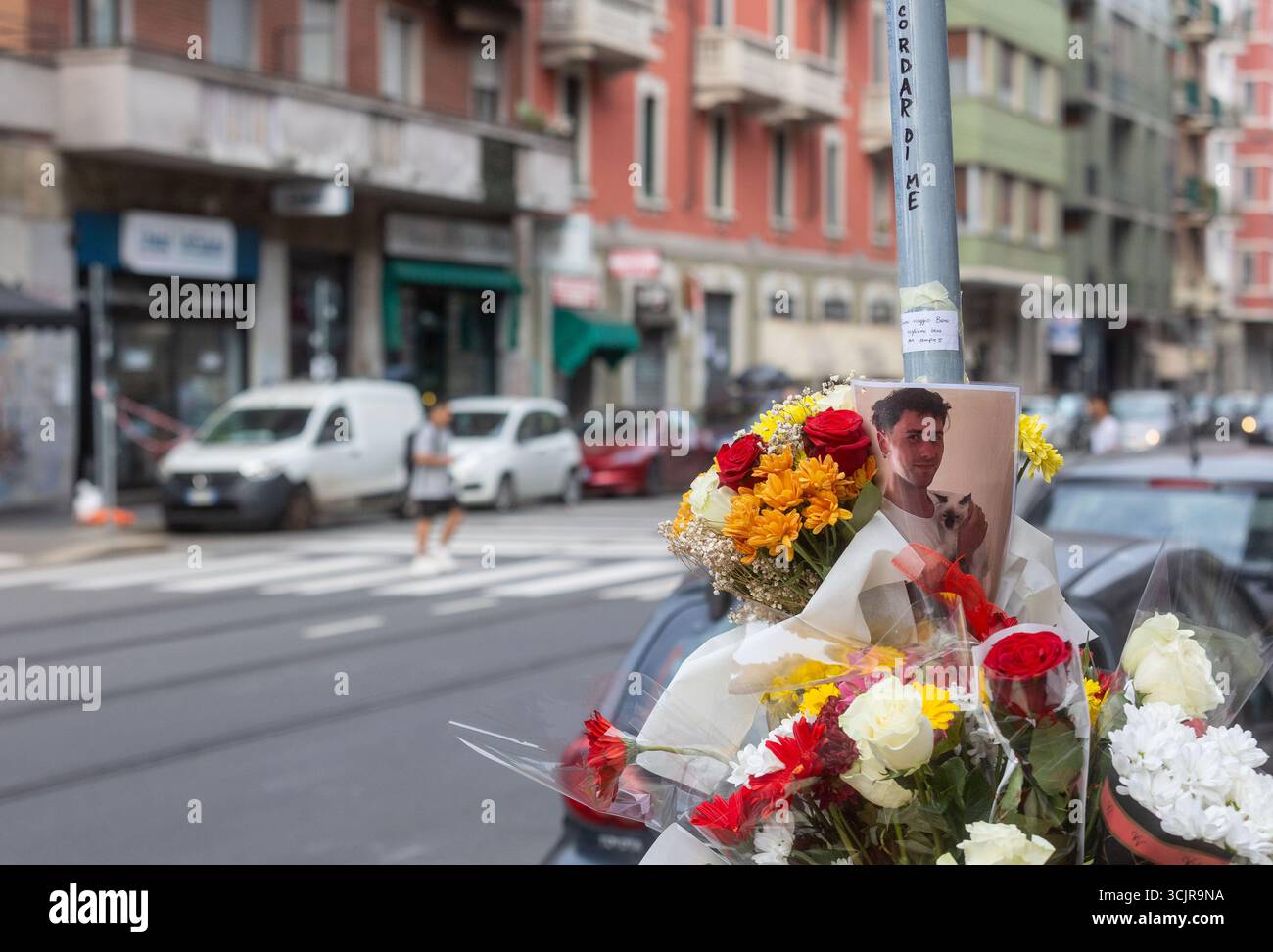 Fiori su un palo vicino al luogo dove è stato investito e ucciso Matteo ...