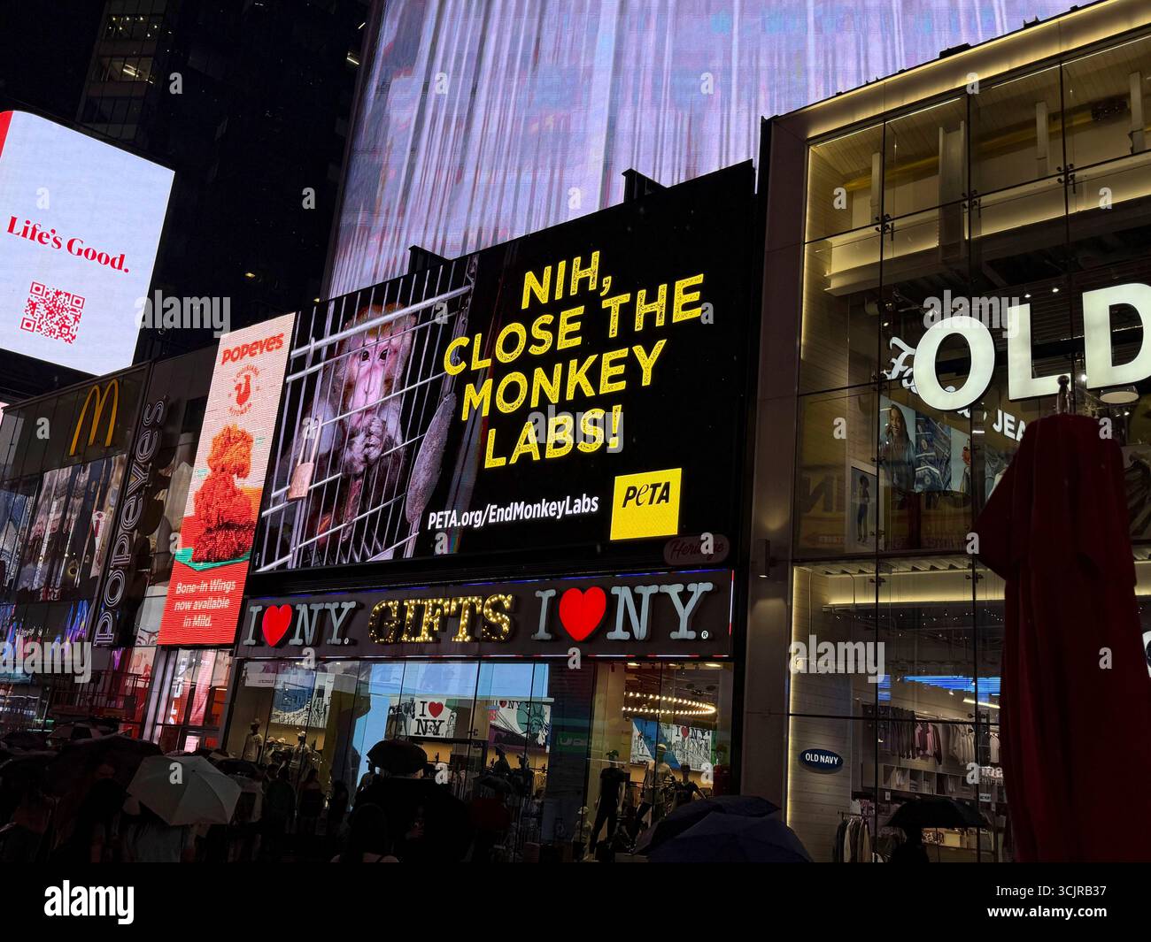 Photo by: PETA/STAR MAX/IPx 2025 9/6/25 PETA is showing the crowds of ...