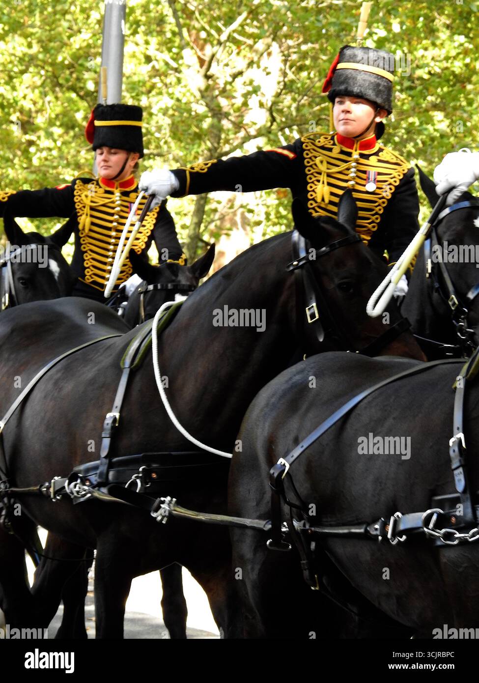 London, UK. 08th Sep, 2025. The King's Troop Royal Horse Artillery have ...