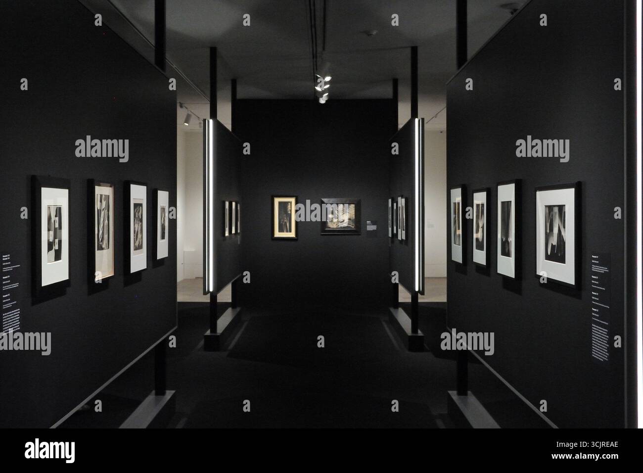 Man Ray When Objects Dream exhibition at the Metropolitan Museum of Art ...