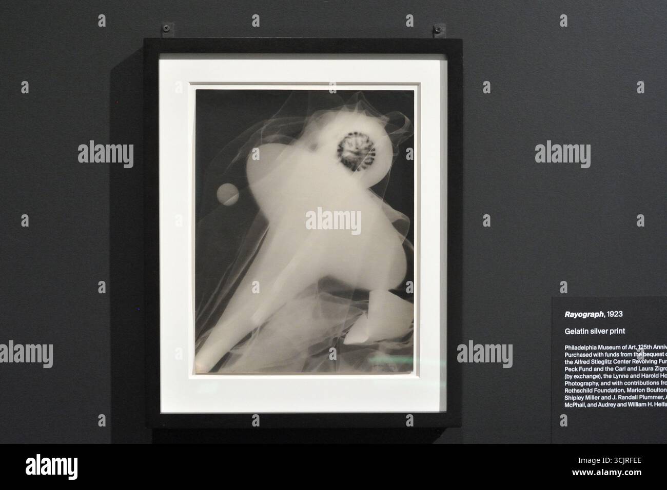 Rayograph,1923, by Man Ray on display in the Man Ray When Objects Dream ...