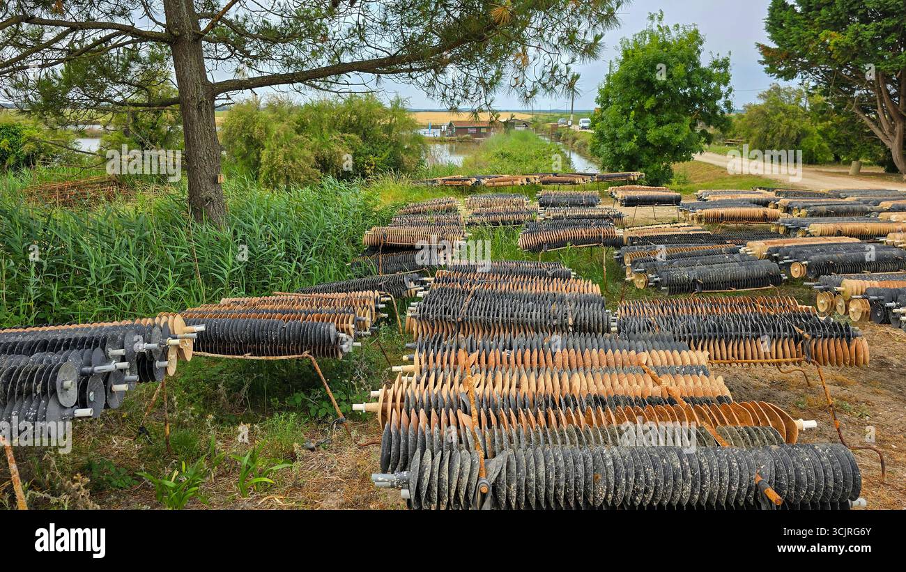 View of the original equipment for growing oysters at the Atlantic ...
