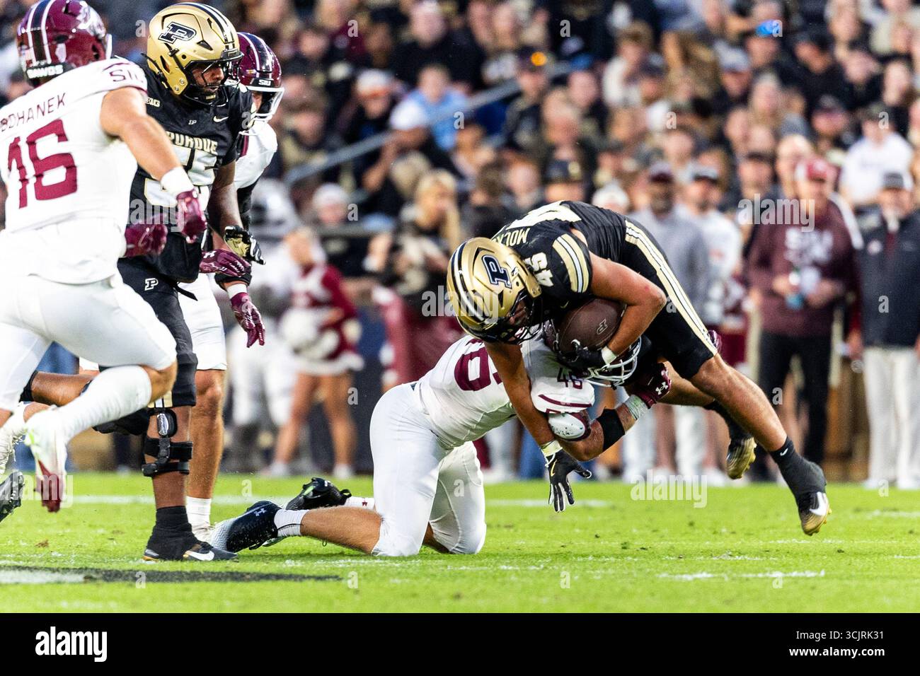 September 06, 2025: Purdue running back Devin Mockobee (45) runs with ...