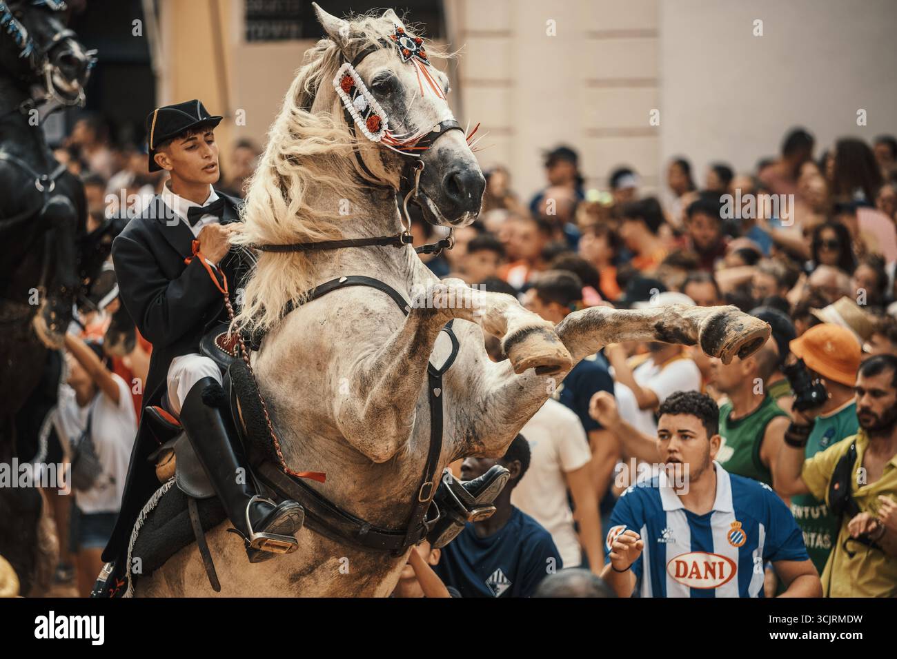Mahon, Spain. 8 September, 2025: A 'caixer' (horse rider) rears up on ...