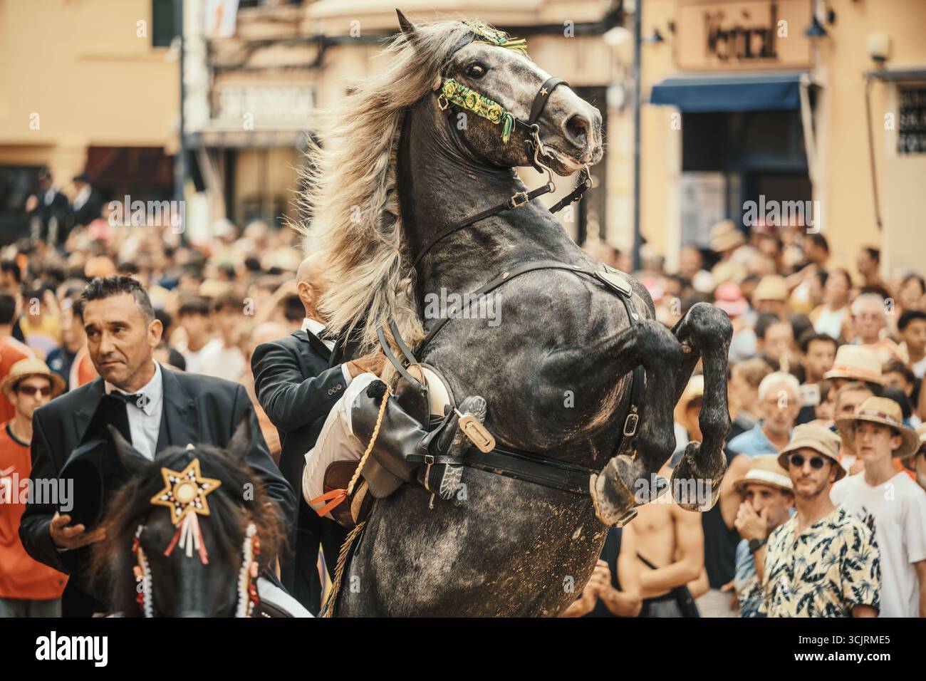 Mahon, Spain. 8 September, 2025: A 'caixer' (horse rider) rears up on ...