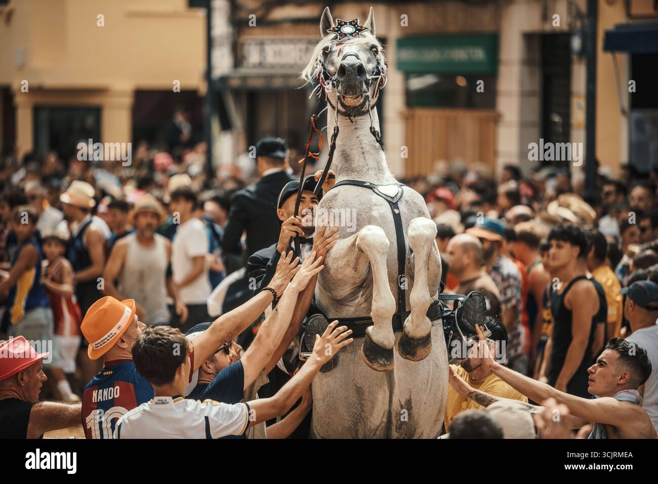 Mahon, Spain. 8 September, 2025: A 'caixer' (horse rider) rears up on ...