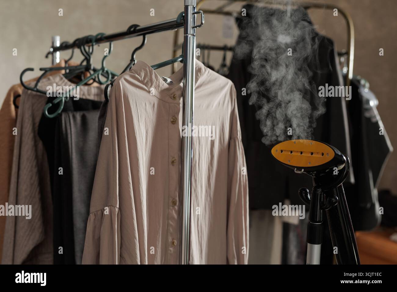 Vertical garment steamer releases hi-res stock photography and images ...