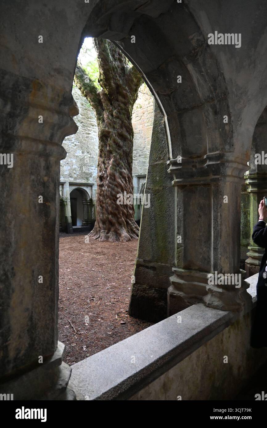 The Mysterious Ruins are Enveloped by Lush Natures Beauty and Rich ...