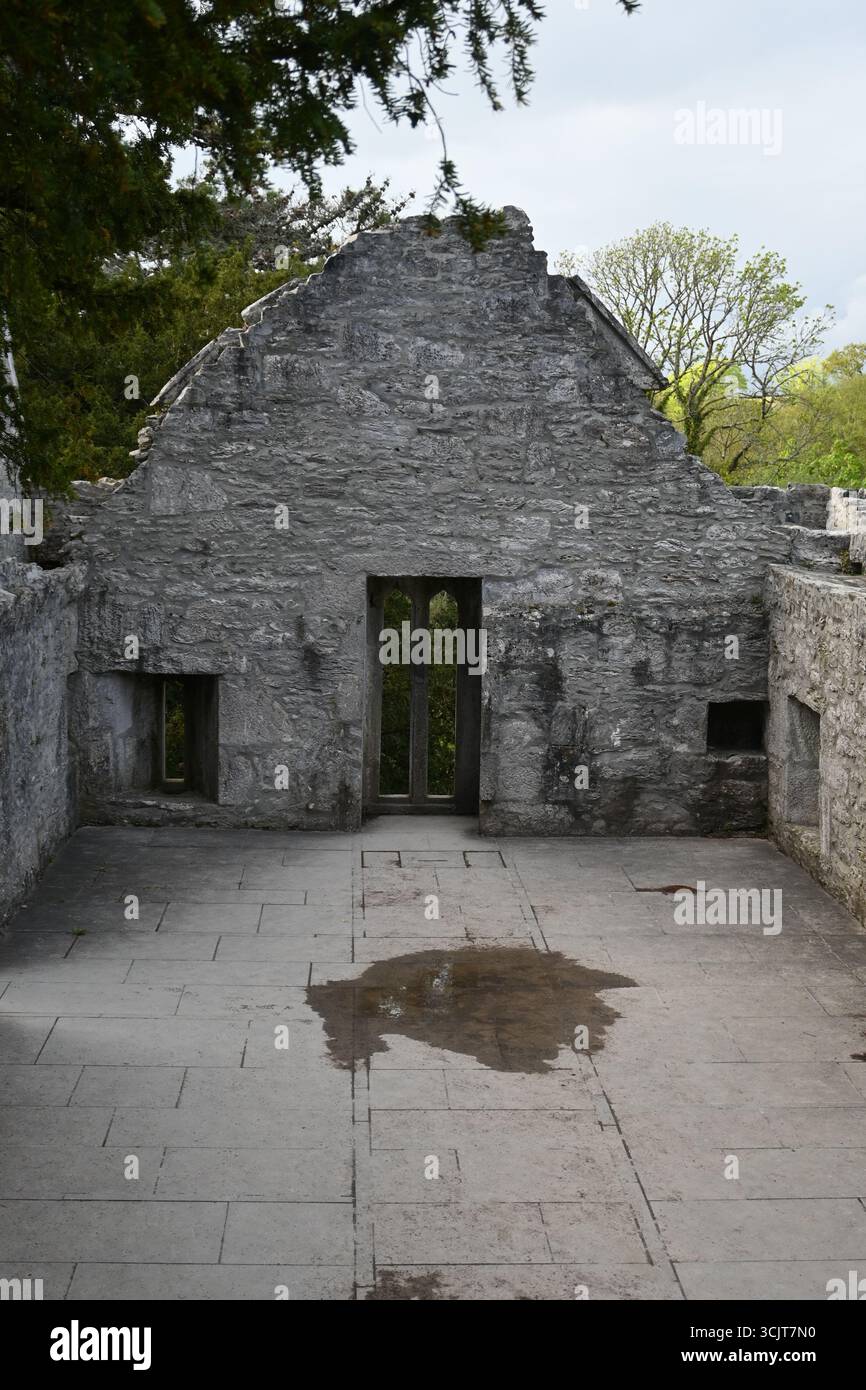 The ruins of a historic stone structure are beautifully surrounded by ...