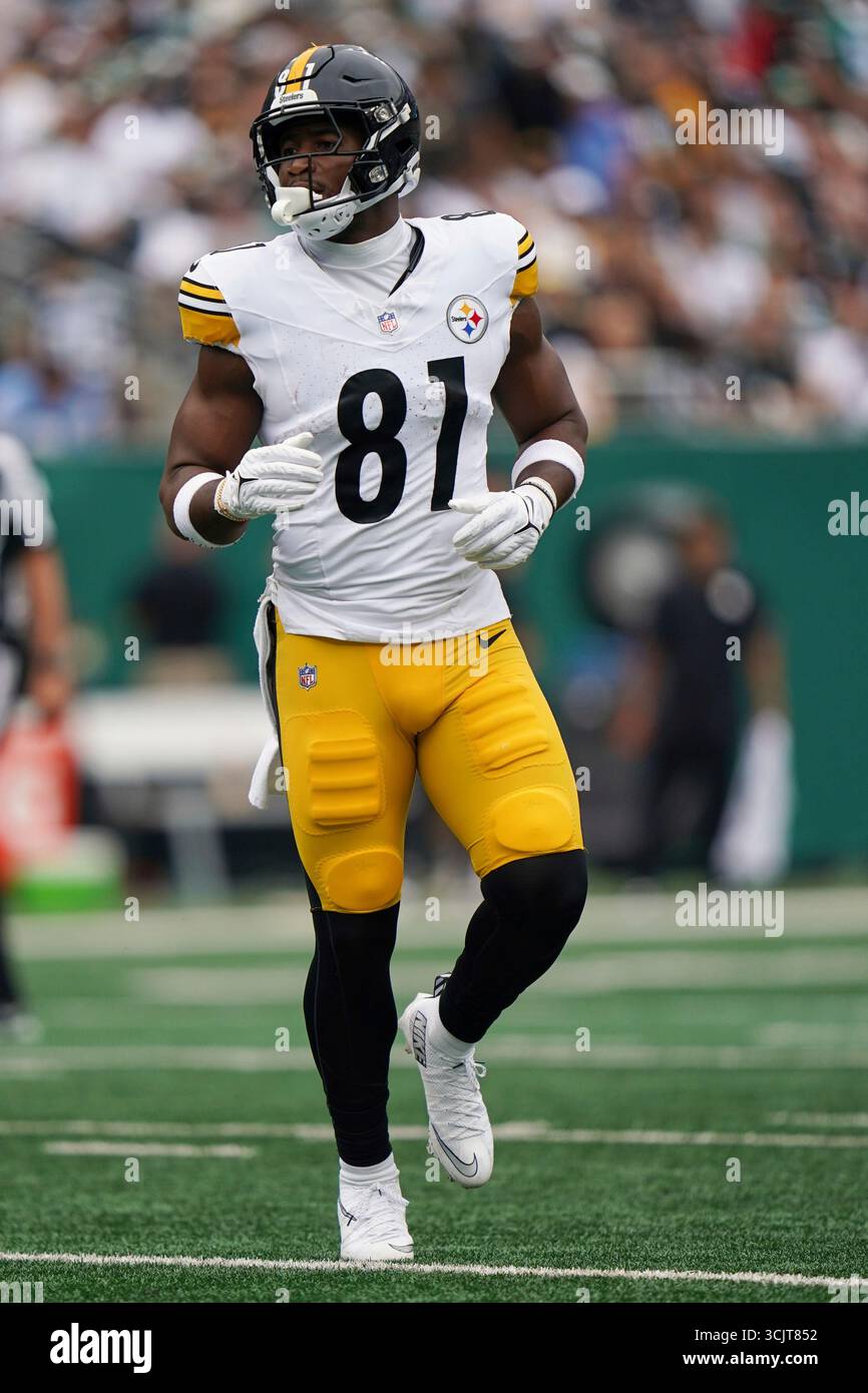 Pittsburgh Steelers tight end Jonnu Smith (81) during an NFL football ...