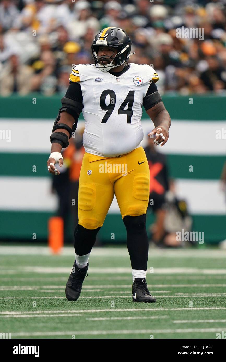 Pittsburgh Steelers defensive tackle Dean Lowry (94) during an NFL ...