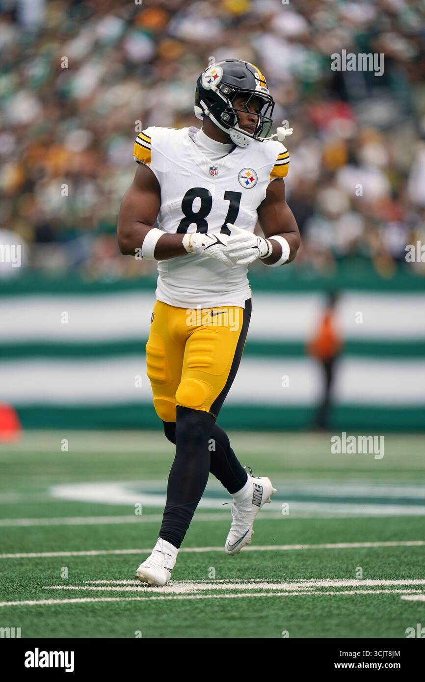 Pittsburgh Steelers tight end Jonnu Smith (81) gets set for the play ...