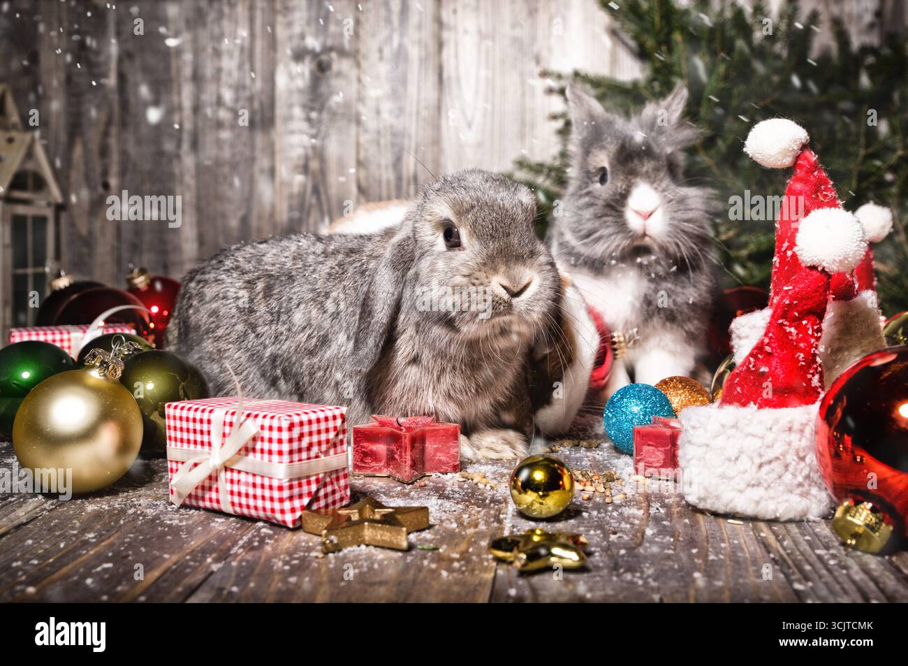 Neat decorations hi-res stock photography and images - Alamy