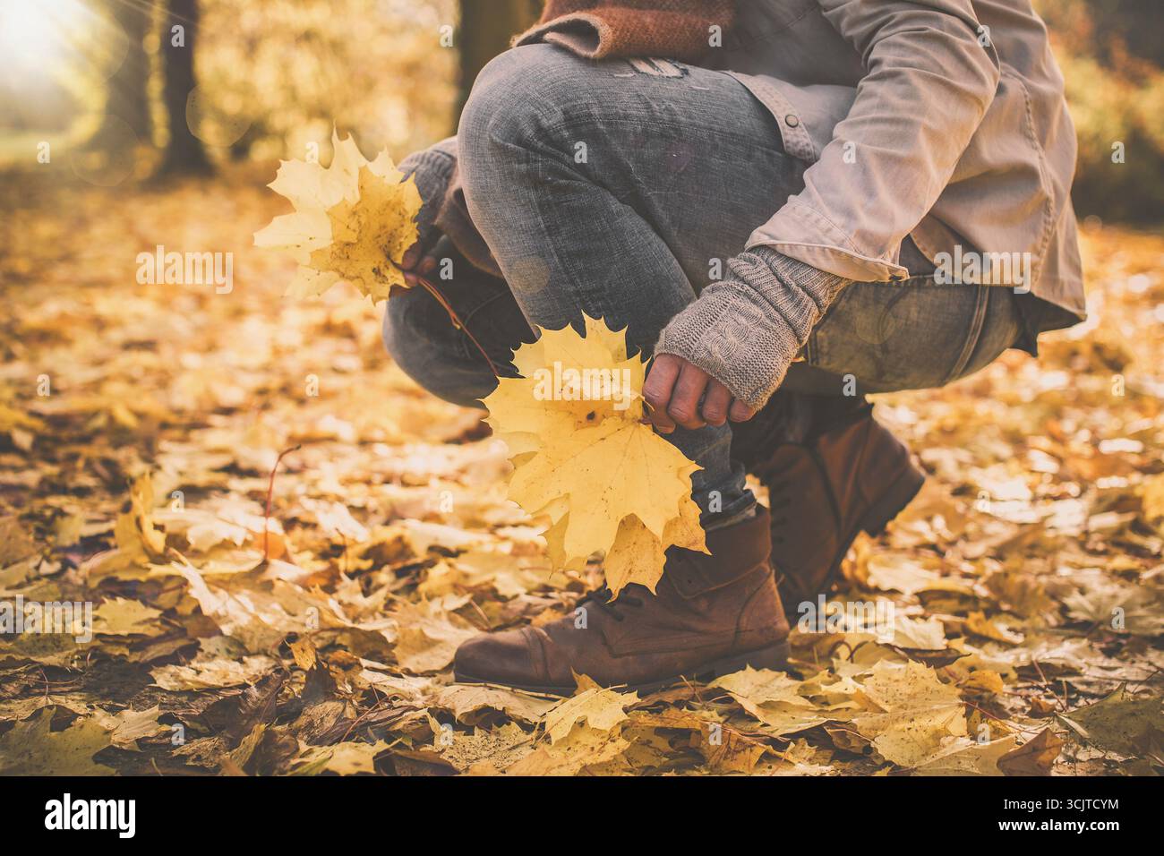 Collecting fallen leaves in hi-res stock photography and images - Alamy