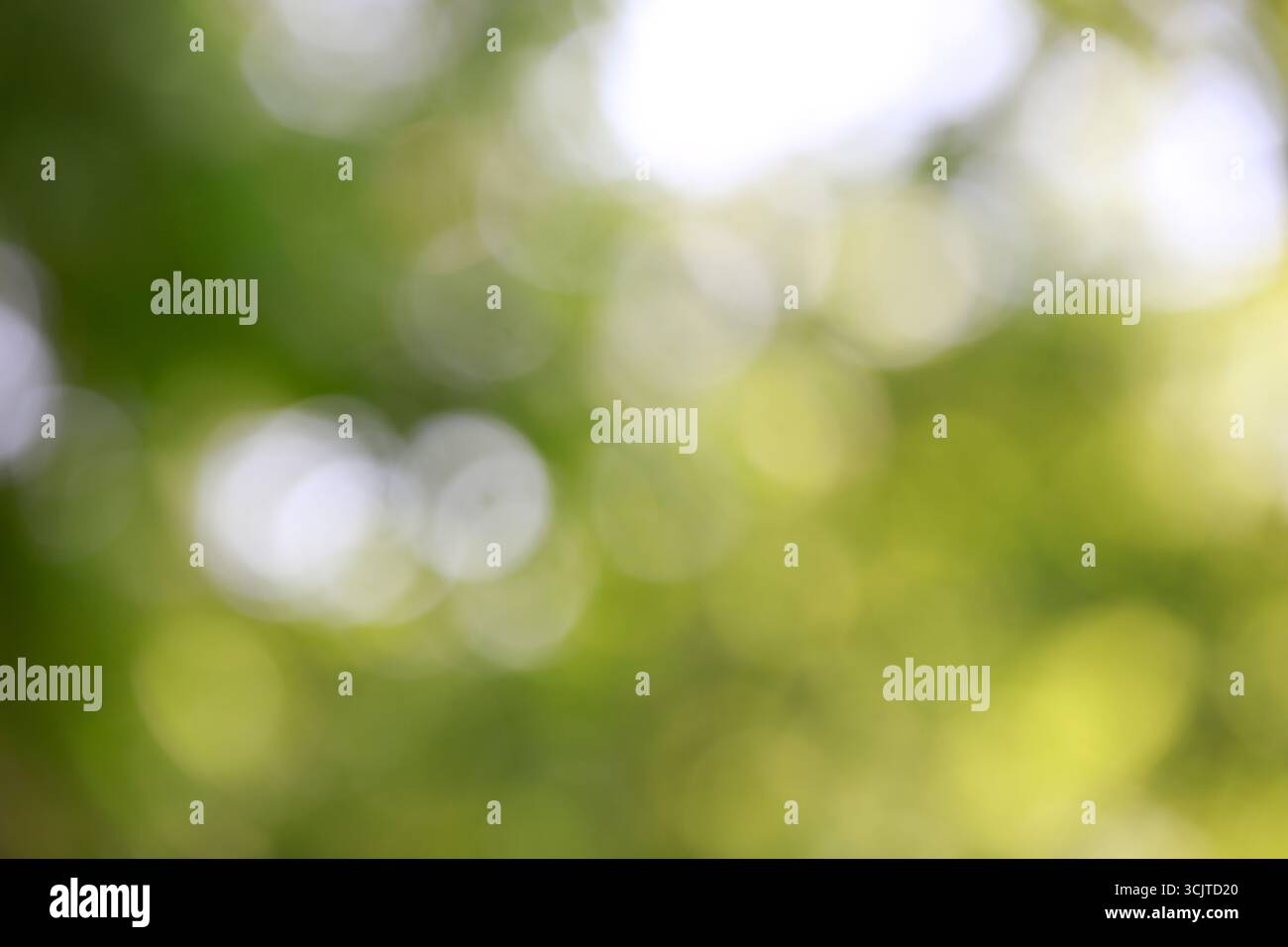 Blurred bokeh light sign board hi-res stock photography and images - Alamy