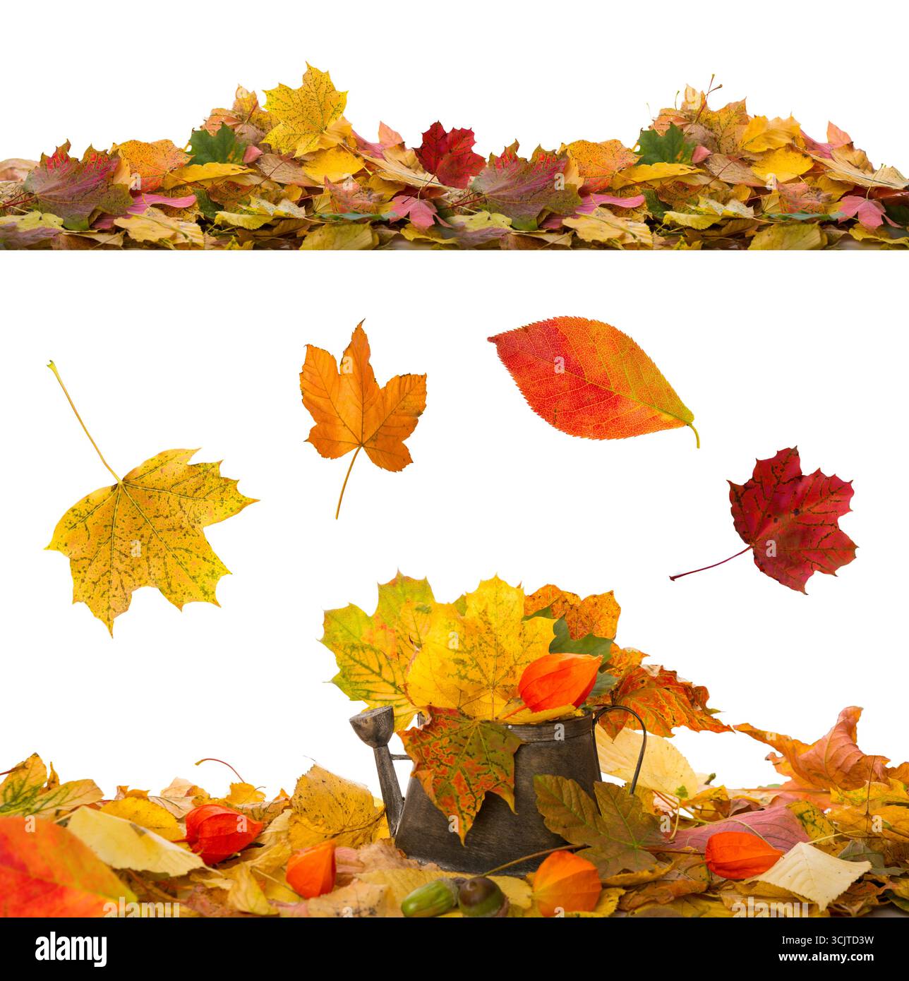 two-part Collage with fall leaves and watering can, cut out, composing ...